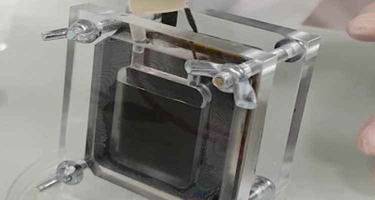 L’urine transformée en énergie grâce à cette “bio-pile”